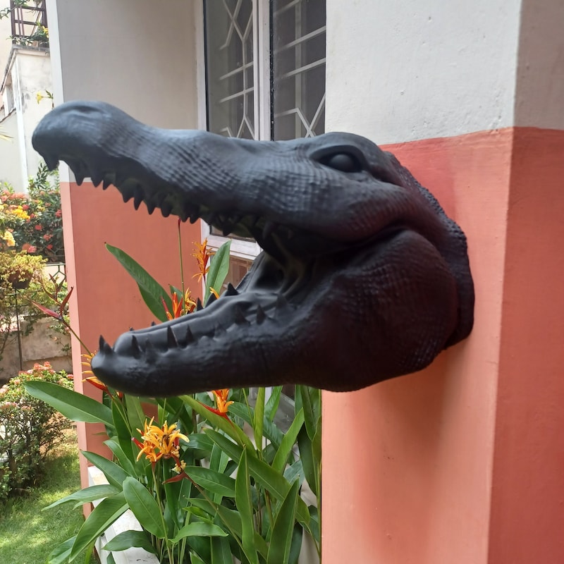 Alligator Heads - Etsy