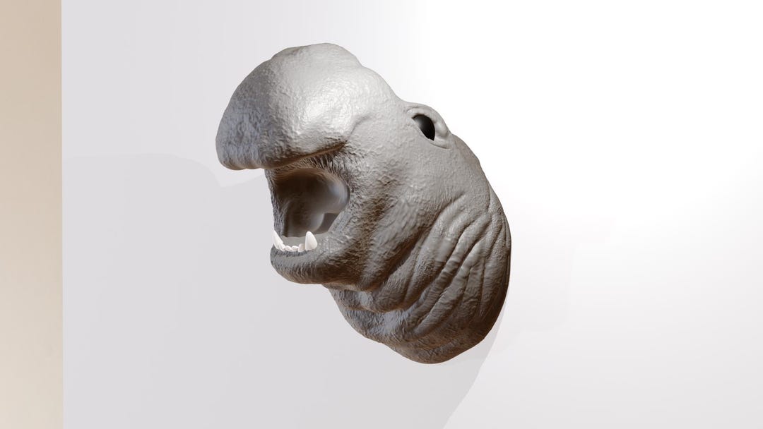 Elephant Seal Head Wall Mount Roaring, Wall Art, Decor, Swimming Sea ...