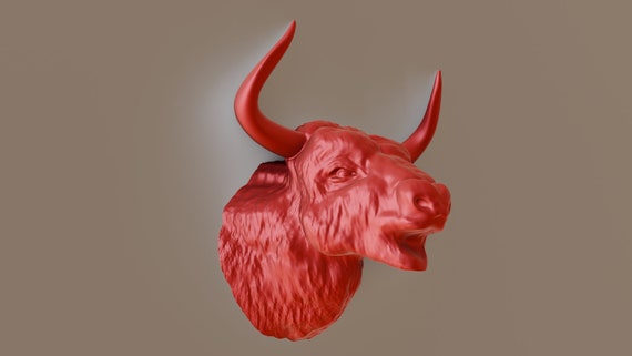 Testa Di Toro Spagnolo