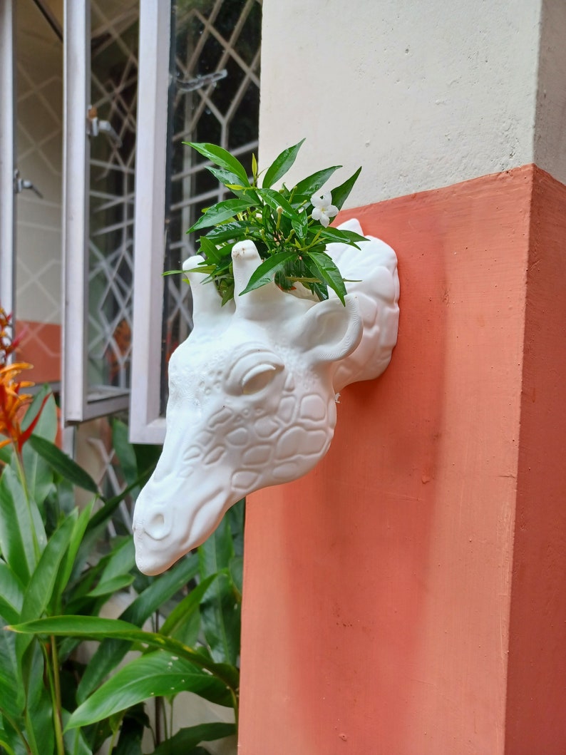 Giraffe Head Wall Planter, White Faux Taxidermy, Animal Head Vase ...