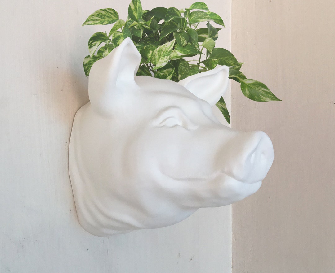 Pig Head Planter,piggy Wallmount Planter, Handmade Planter ,home ...