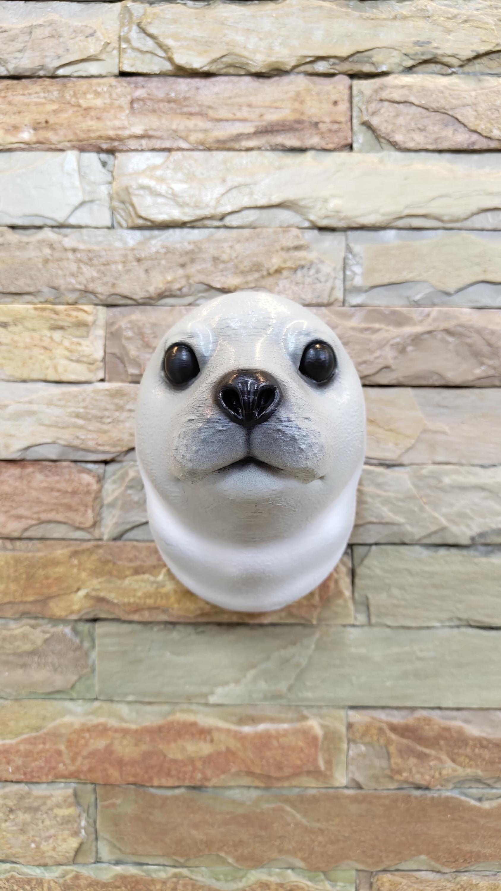 Seal Head Cute Wall Mount, Swimming Sea Creature Head Taxidermy, Ocean ...