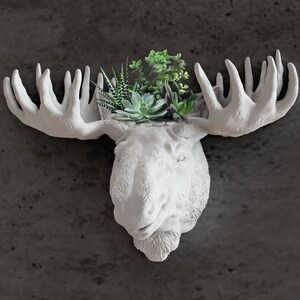 Wall Mounted Moose Head Planter, Faux Taxidermy, Home Decor, Deer, Elk ...