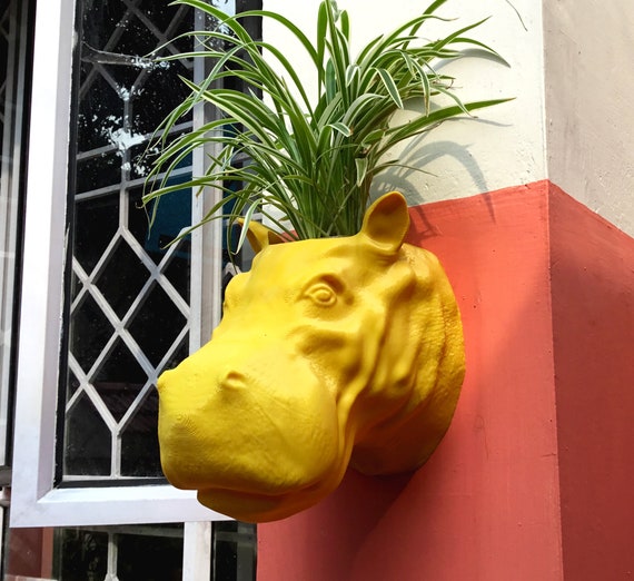 Hippo Head Handmade Planter Hippopotamus Mounted Planter - Etsy