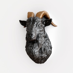 Goat Head Wall Mount, Farm Decor, Farm Animal Decor - Etsy