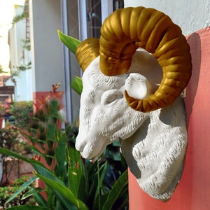 Ram Head Wall Mount Planter Pot Flower Vase, Farm Decor, Mountain Ram ...
