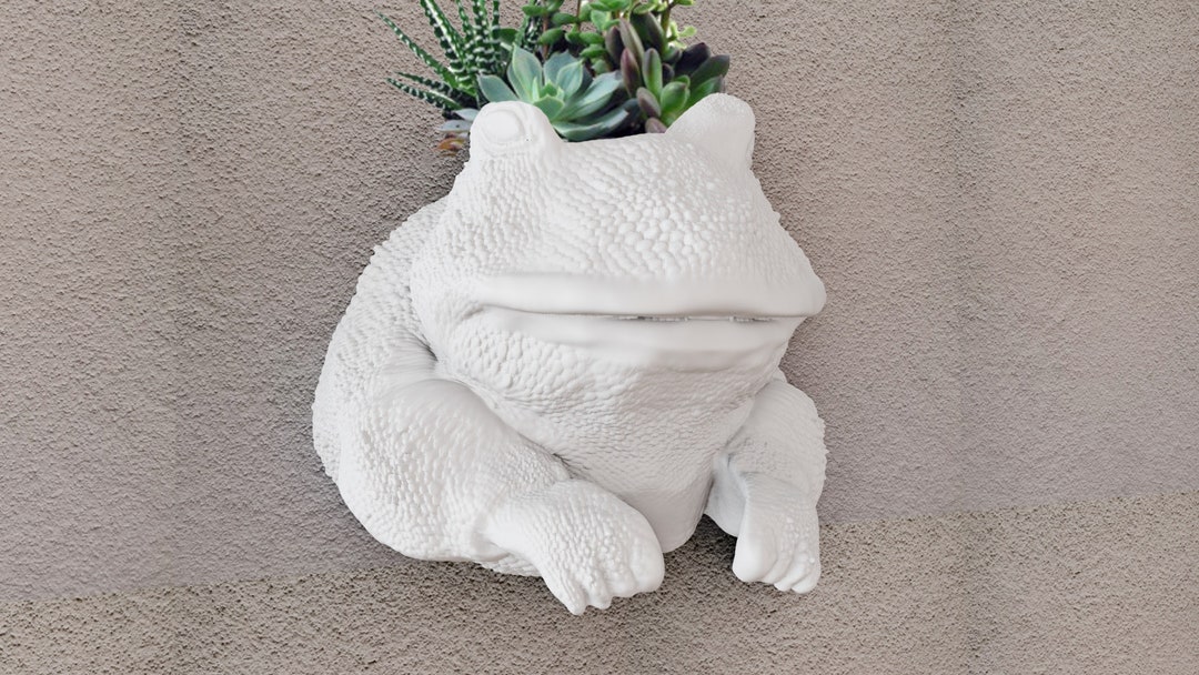 Bull Frog Head Planter Wall Mount, Flower Pot, Vase, Toad Head ...