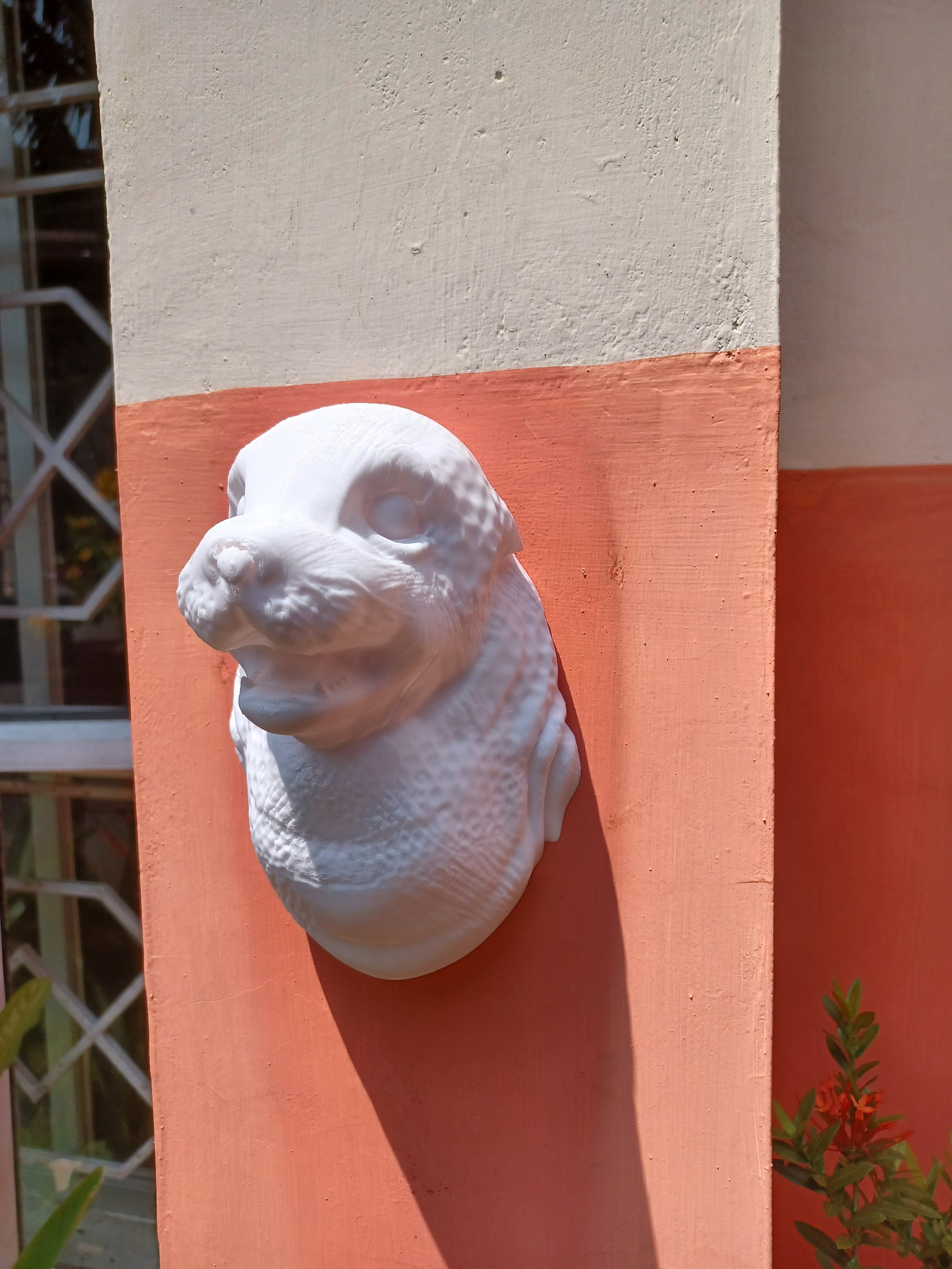Seal Wall Mount, Sea Lion, Elephant Seal, Walrus Faux Taxidermy, Home ...