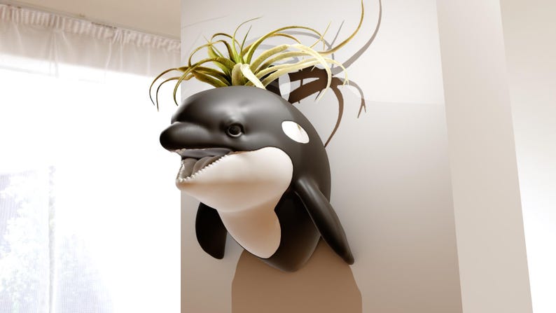 Orca Whale Mouth Open Head Taxidermy, Wall Mount Planter Pot Flower ...