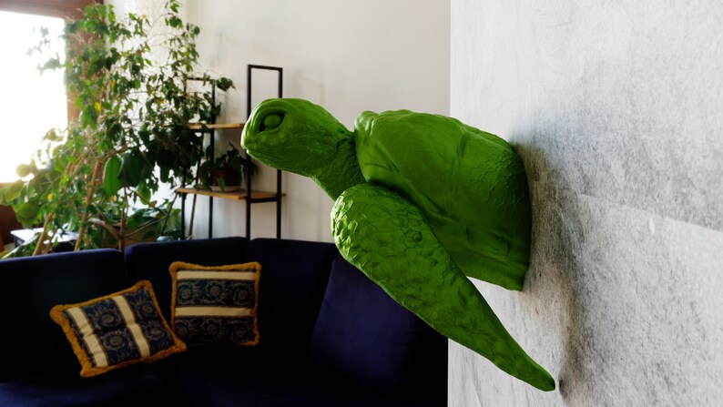 Turtle Head Wall Mount, Decor, Swimming Turtle, Head Taxidermy, Decor ...