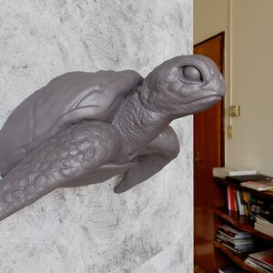 Turtle Head Wall Mount, Decor, Swimming Turtle, Head Taxidermy, Decor ...