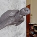 Turtle Head Wall Mount, Decor, Swimming Turtle, Head Taxidermy, Decor ...