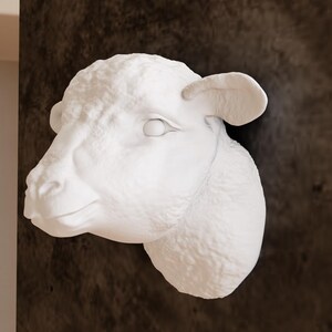 Lamb Calf Head Wall Mount, Farm Decor - Etsy
