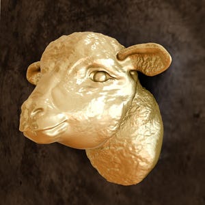 Lamb Calf Head Wall Mount, Farm Decor - Etsy