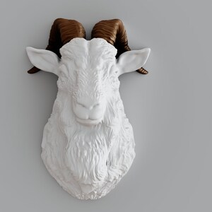 Goat Head Wall Mount, Farm Decor, Farm Animal Decor - Etsy