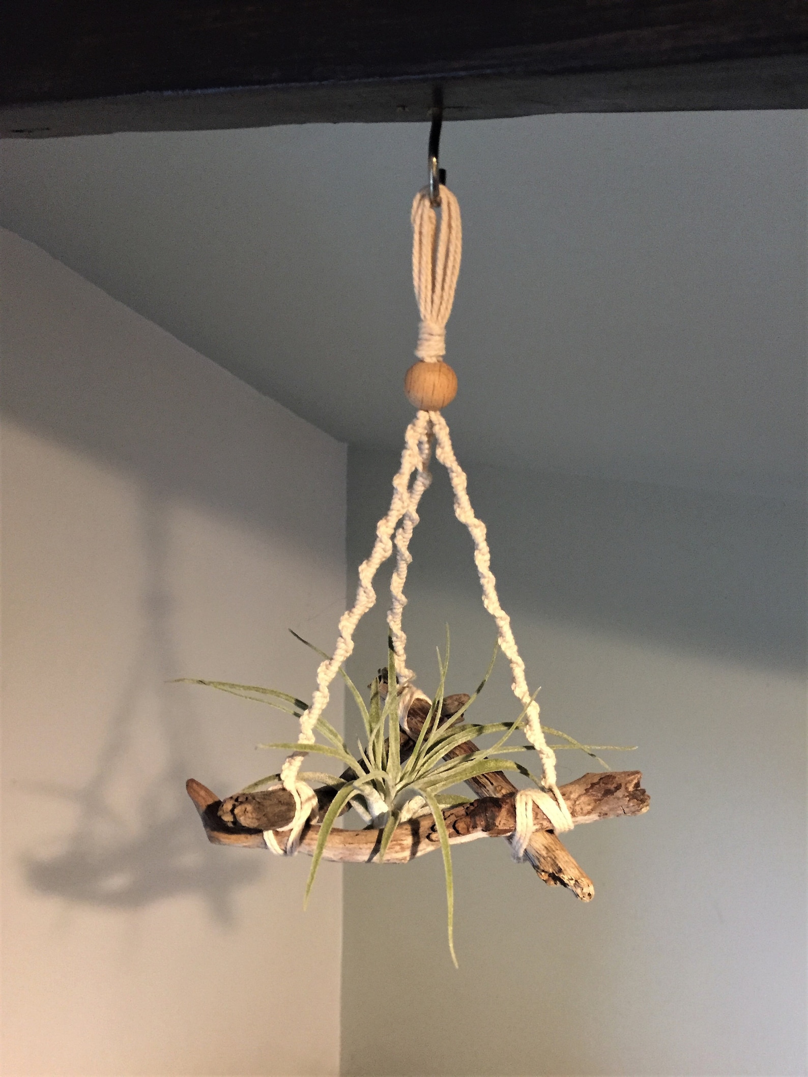 Driftwood & Macrame Air Plant Hanger WITH or WITHOUT Live - Etsy