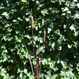 Rusty Flower Metal Cattails Set of Two,rusty Metal Decoration,cattail ...