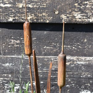 Rusty Flower Metal Cattails Set of Two,rusty Metal Decoration,cattail ...