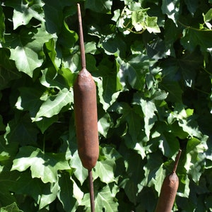Rusty Flower Metal Cattails Set of Two,rusty Metal Decoration,cattail ...