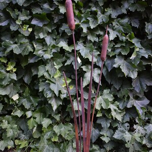 Rusty Flower Metal Cattails Set of Two,rusty Metal Decoration,cattail ...