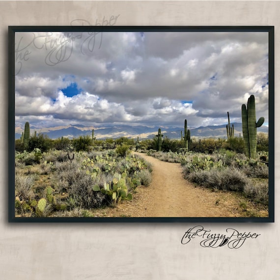 Desert Path Desert Photography Printable Digital Download | Etsy