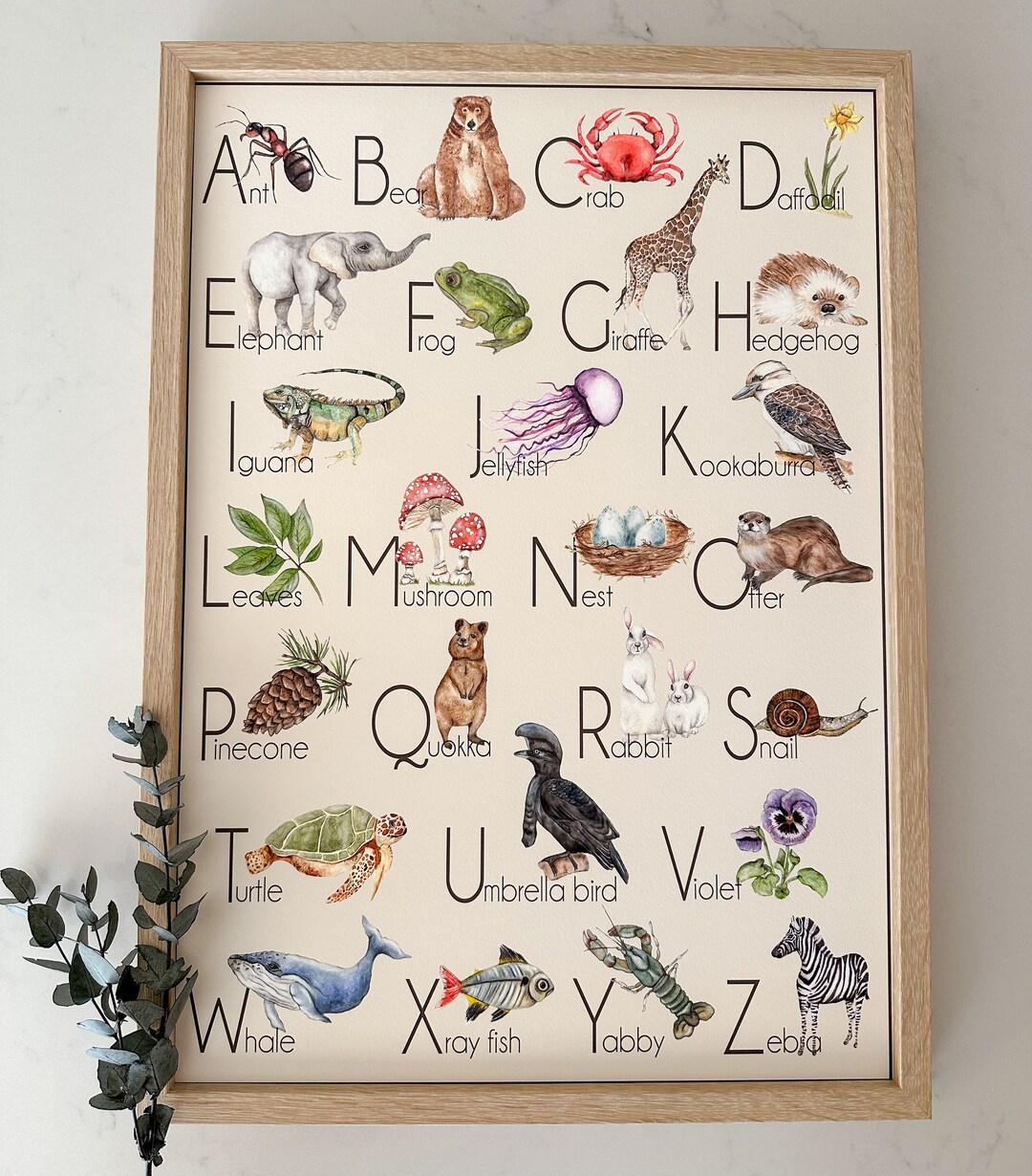 Natures ABC Educational Poster - Etsy