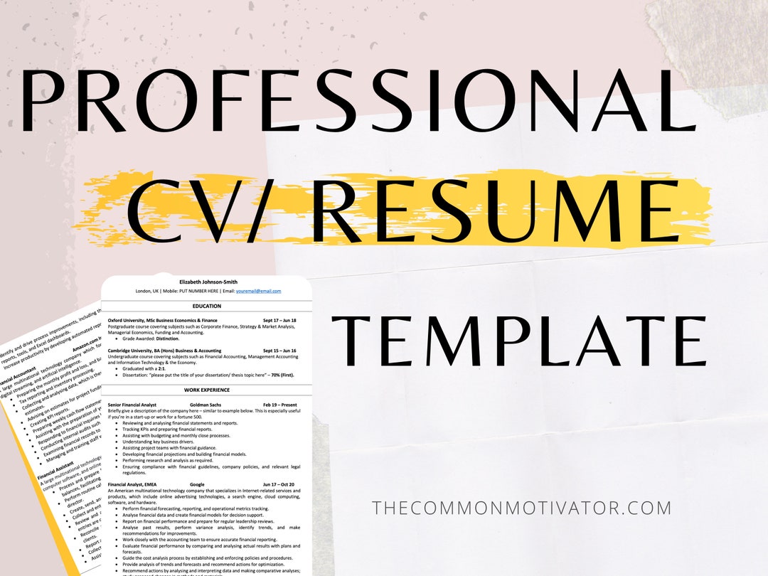 Standard Professional Cv/resume Template for Word and Google Docs | 2 ...