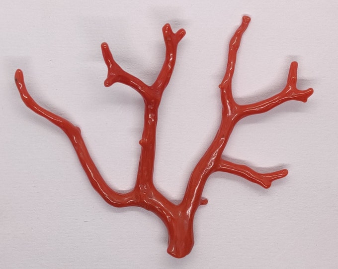 CORAL TREE!! Beautiful Red Coral Branch Gemstone-100% Natural Italian ...