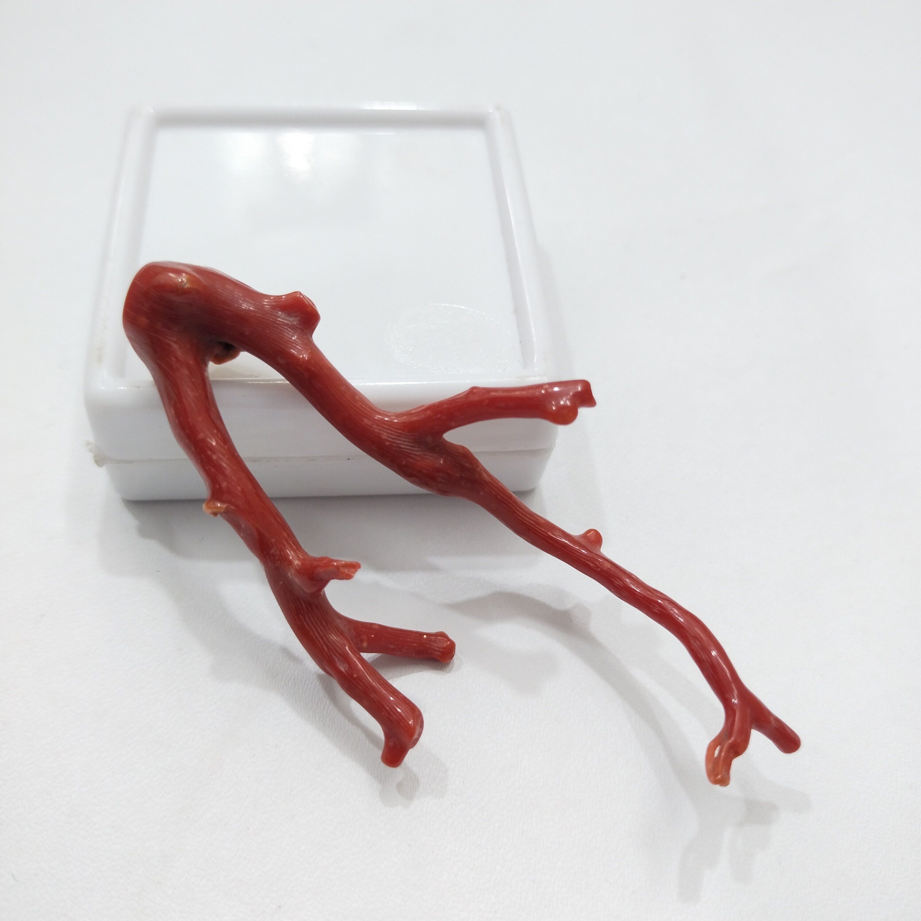 Antique Vintage Red Coral Tree Branch, 100%natural Undyed Red Coral ...