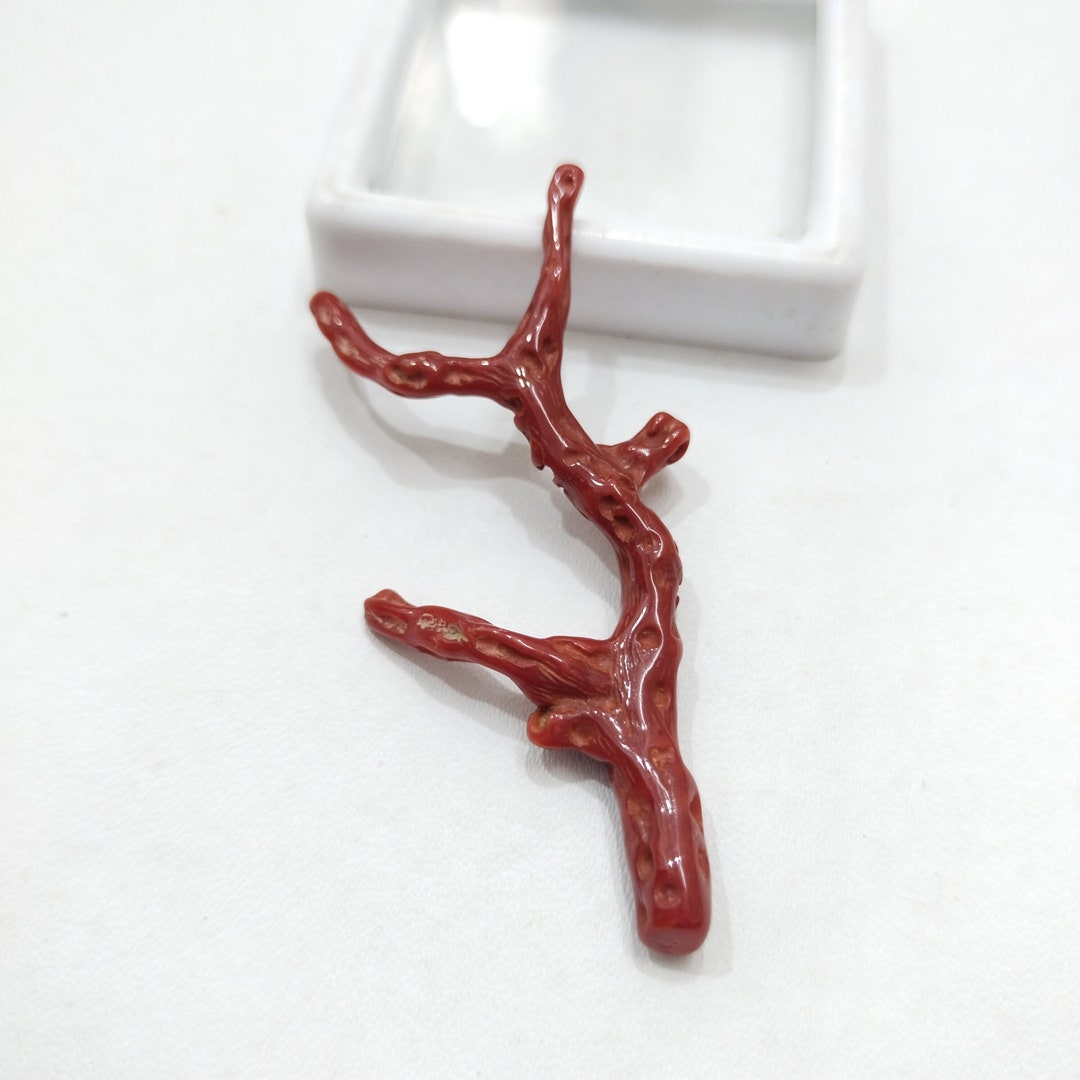 Antique Vintage Red Coral Reef Branch-mediterranean Sea Red Coral ...