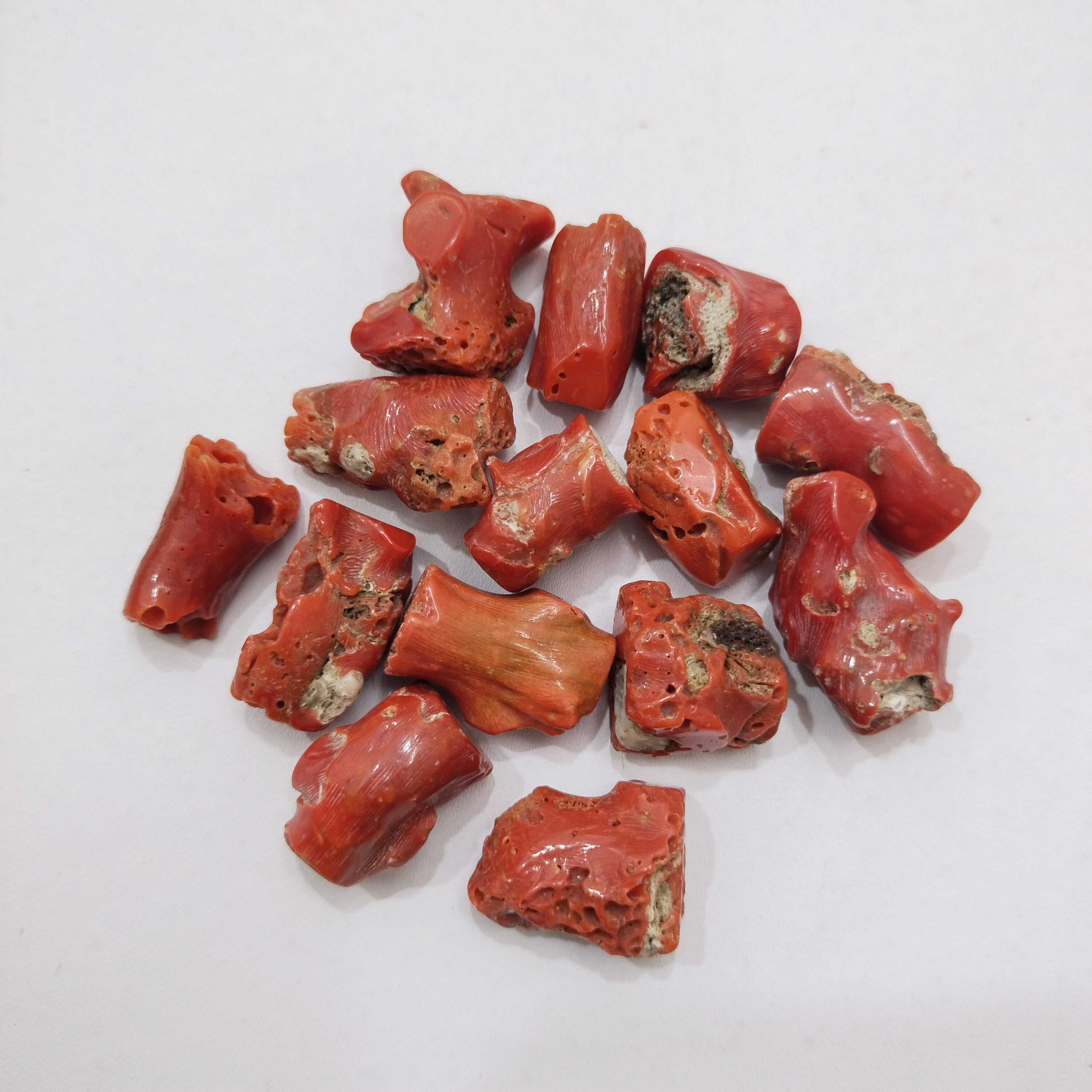 230 CRT Rough Lot Amazing Red Coral Rough Gemstone, 100%natural Undyed ...