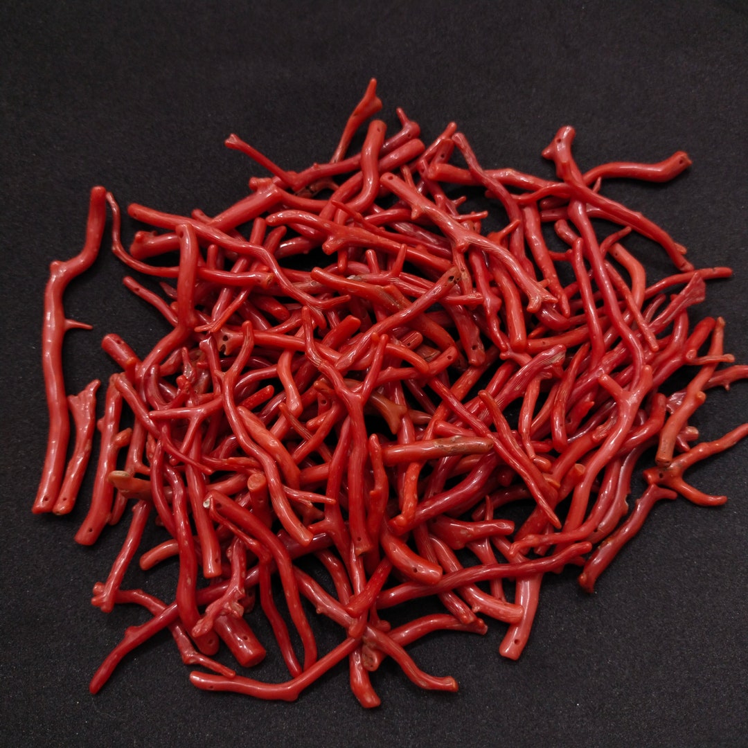 Italian Red Coral Sticks: Natural Undyed Gemstone Branch - 50 Carat Lot ...