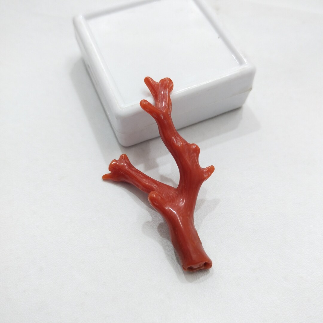 CORAL REEF !!! Beautiful Red Coral Reef Branch-100%natural Undyed Red ...