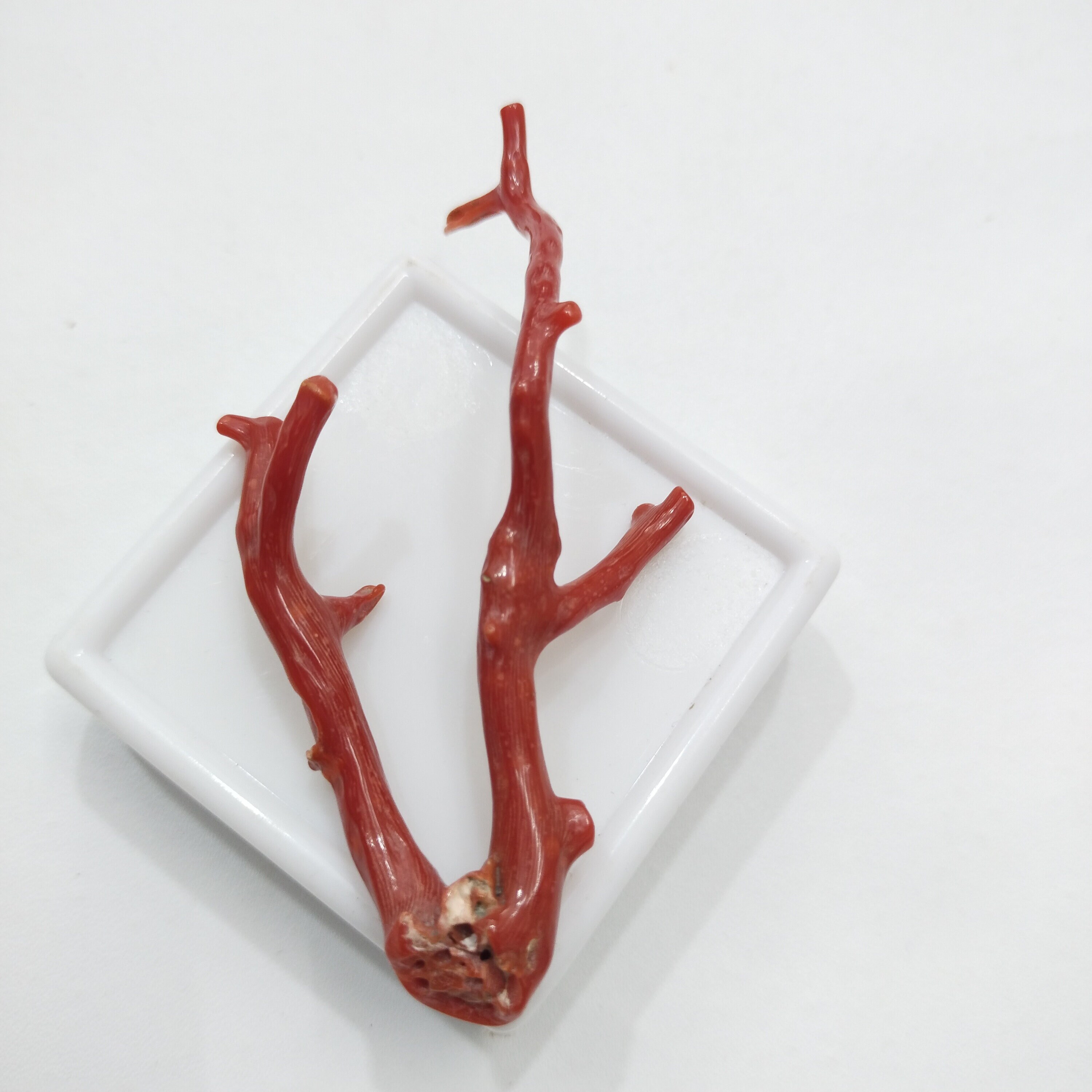 Antique Vintage Red Coral Tree Branch, 100%natural Undyed Red Coral ...