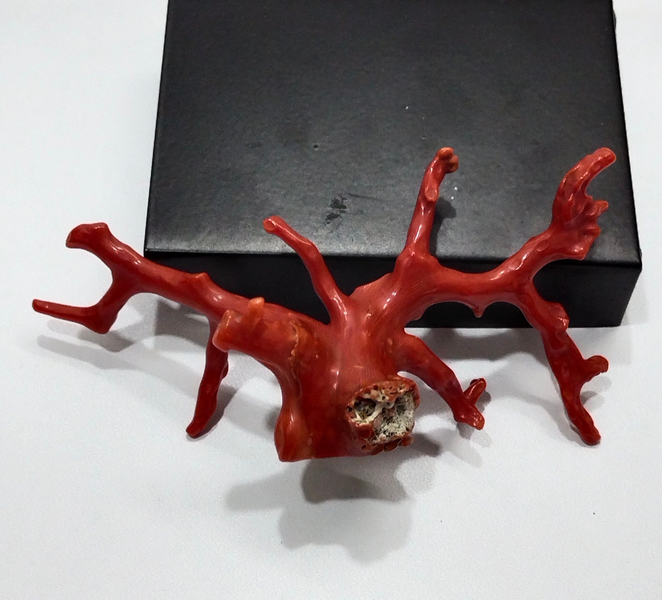 56 CRT. Red Coral Branch-red Coral Tree Branch Gemstone-italian Coral ...