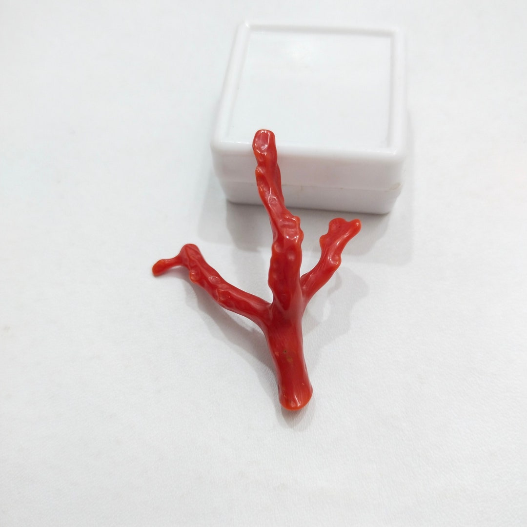 Genuine Undyed Red Coral Reef Branch-100%natural Italian Red Coral ...