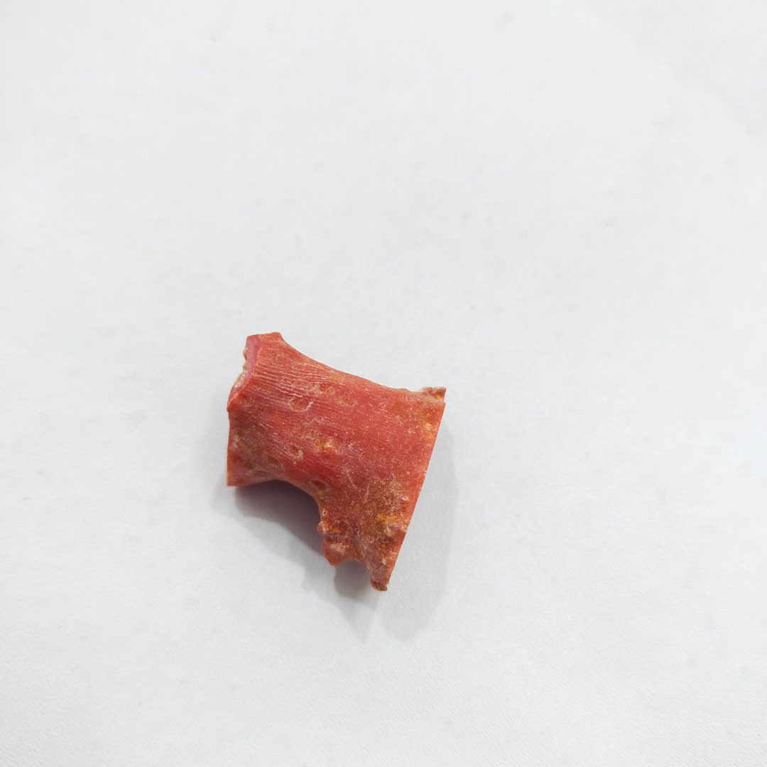 Genuine Vintage Sea Red Coral Rough-mediterranean Raw Coral Unpolished ...