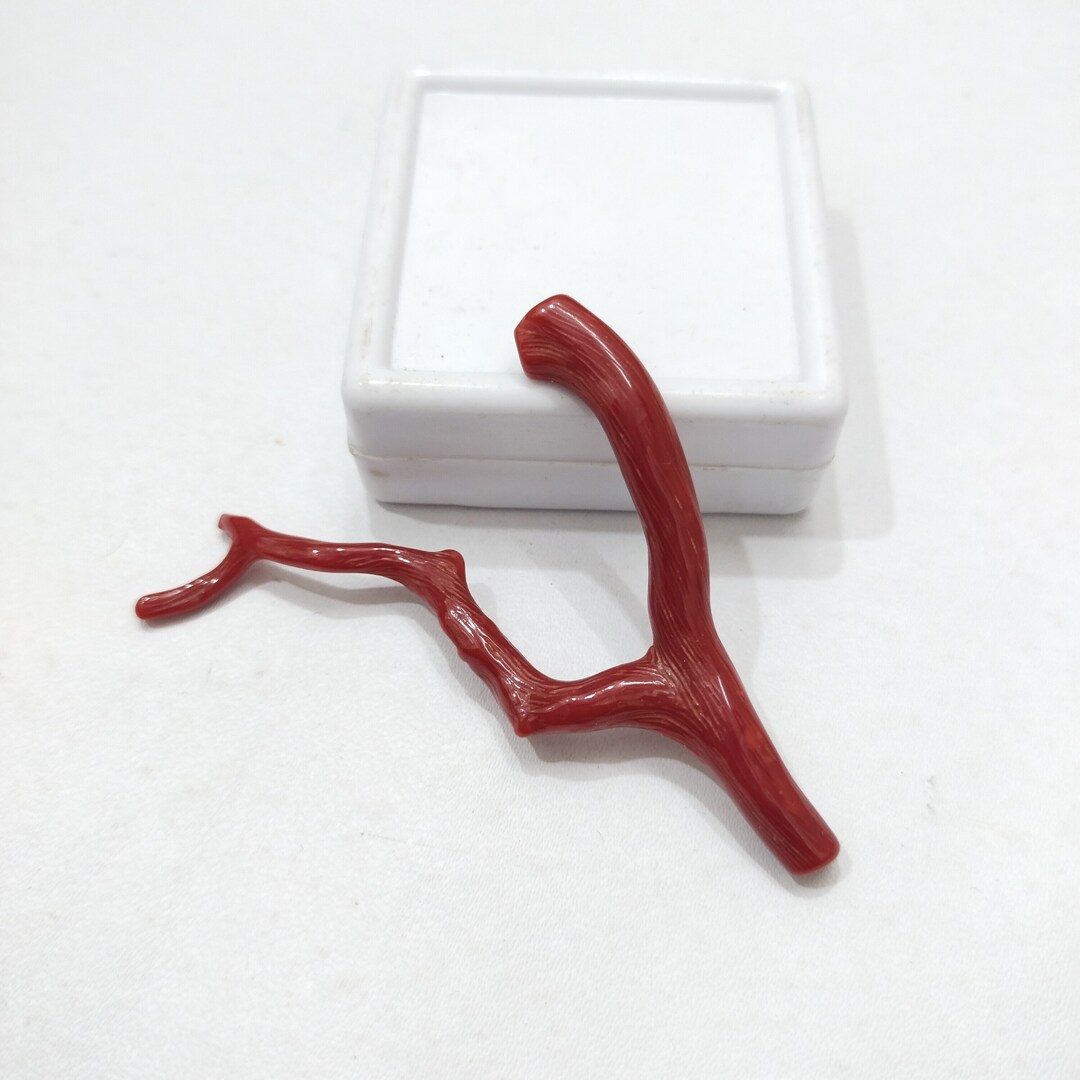 Rare Oxblood Red Coral Branch-mediterranean Red Coral Branch-100% ...