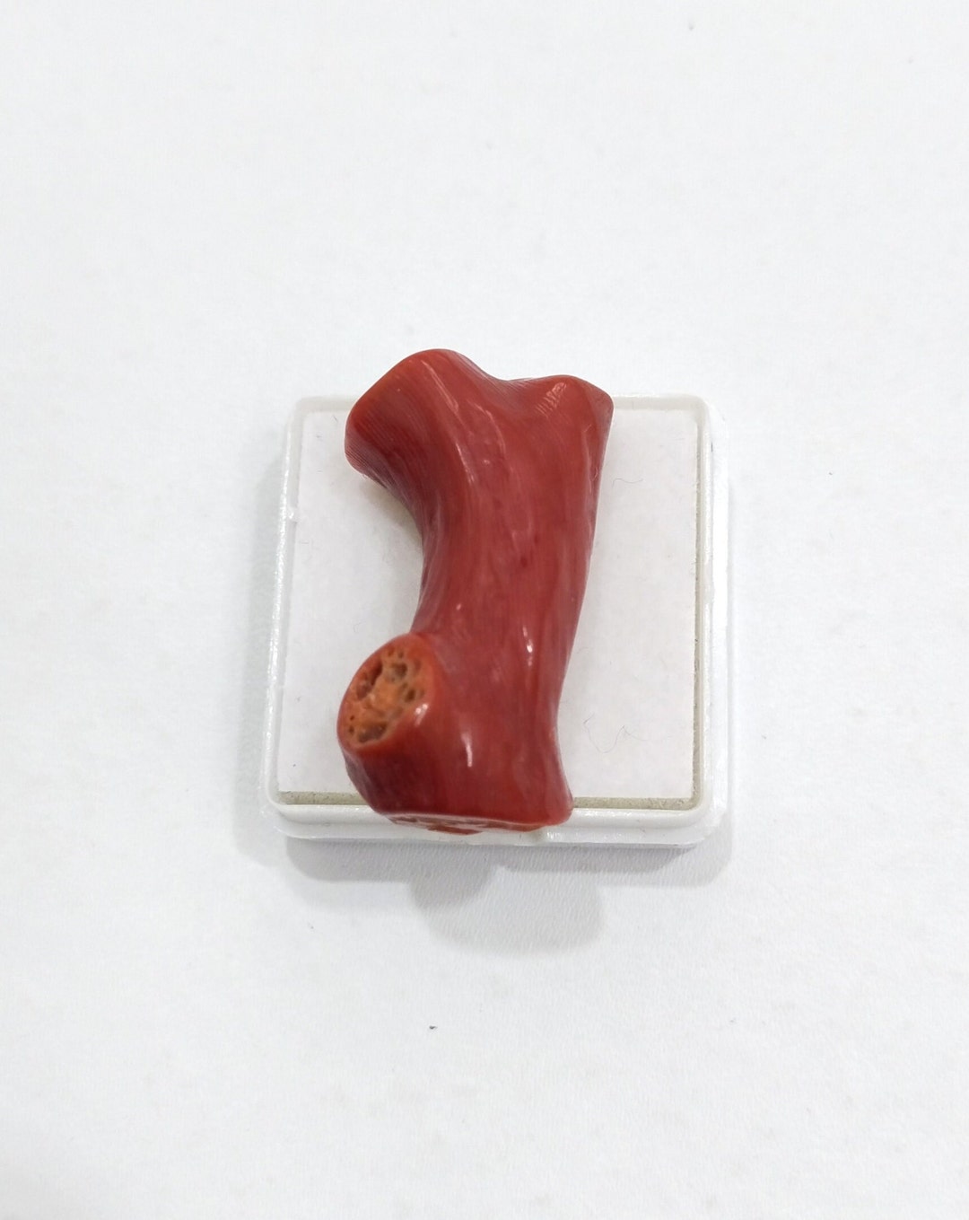 Genuine Italian Red Coral Polished Rough Branch-vintage Antique Red ...