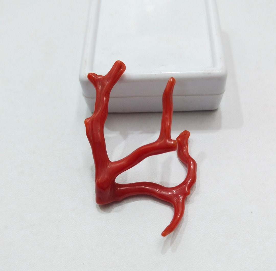 RED CORAL !! 100%natural Red Coral Tree Polished Branch-genuine Italian ...