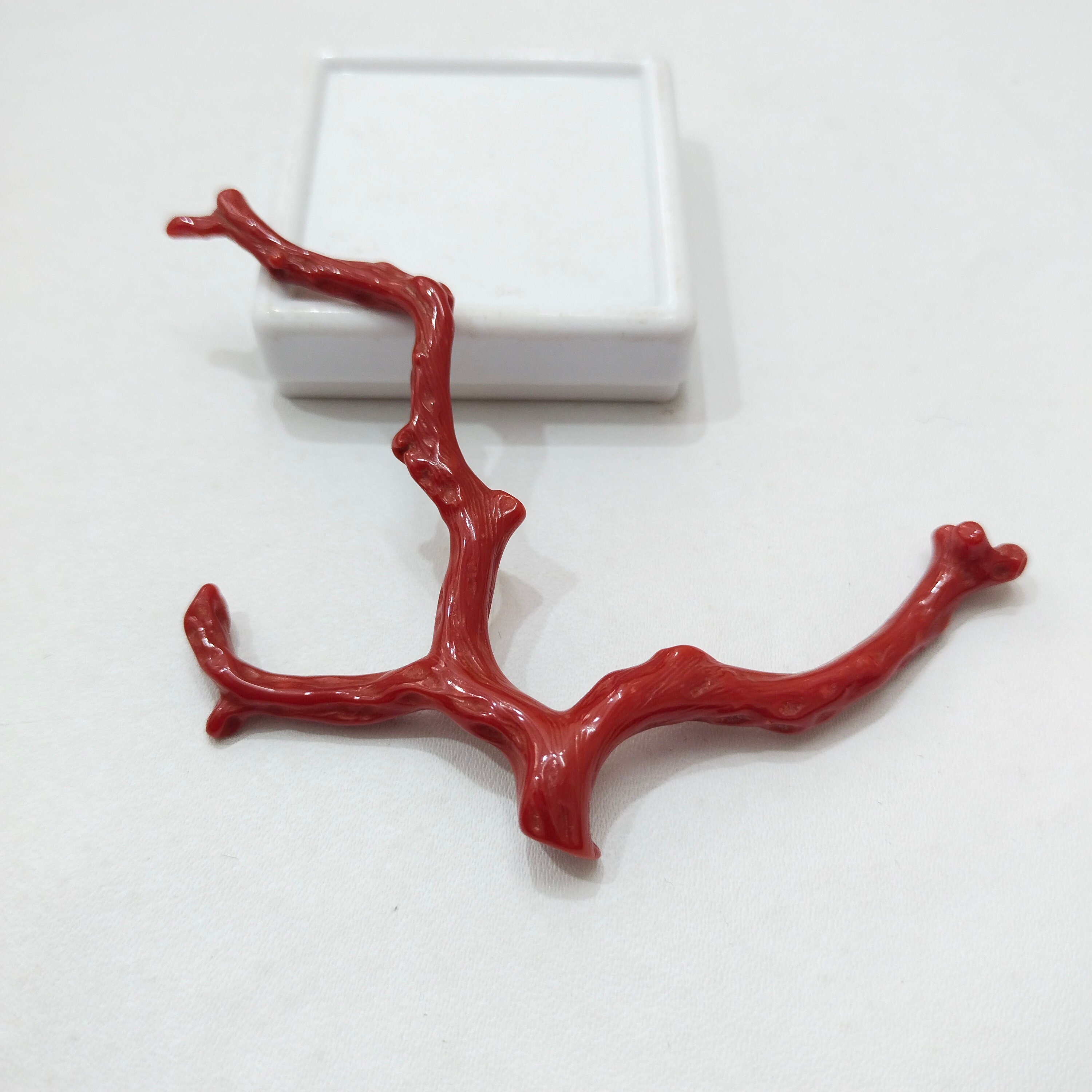 Mediterranean Red Coral Tree Branch-100%natural Italian Red Coral ...