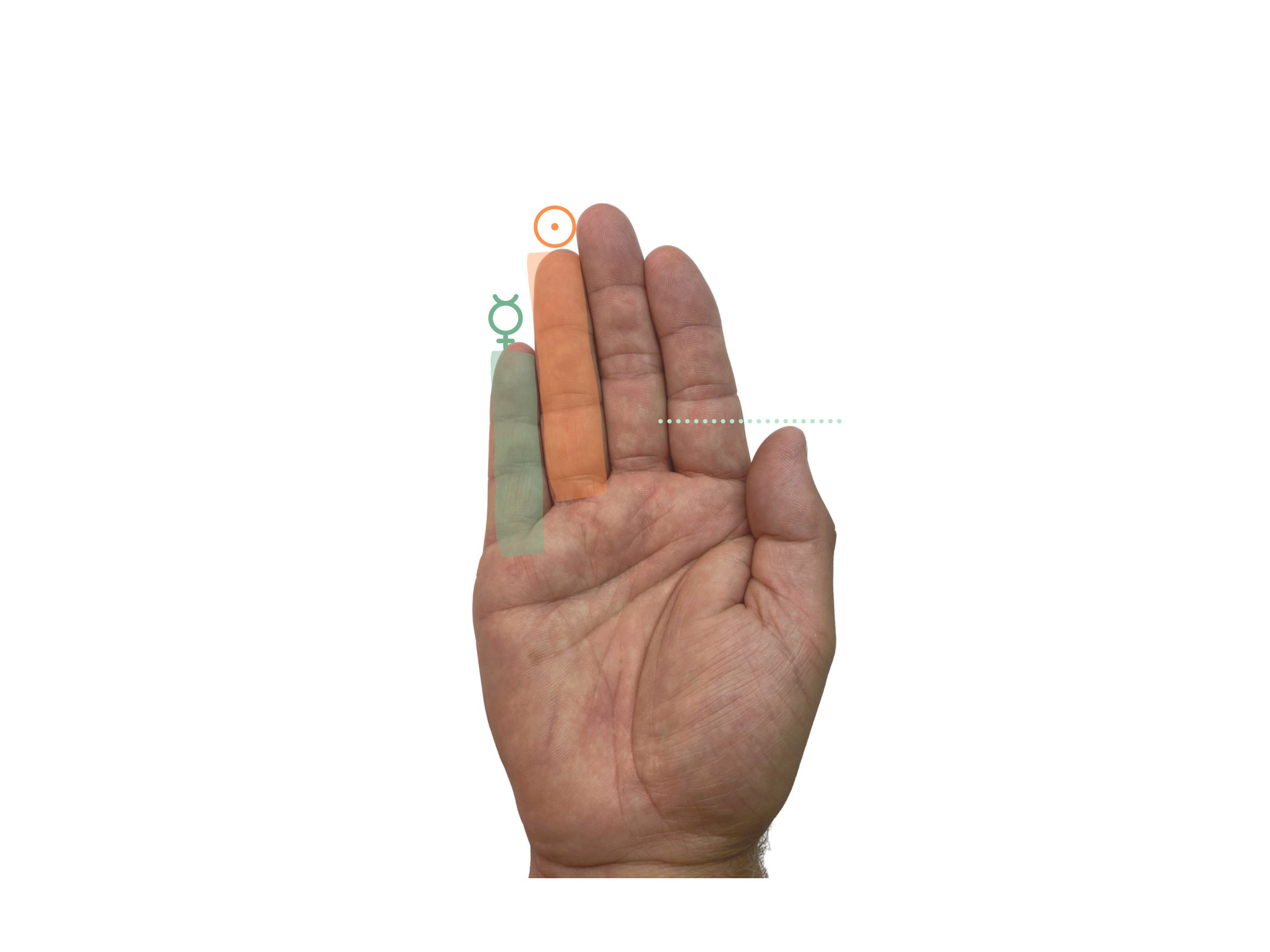 Hand Reading Palm Reading Palmistry Mythology - Etsy