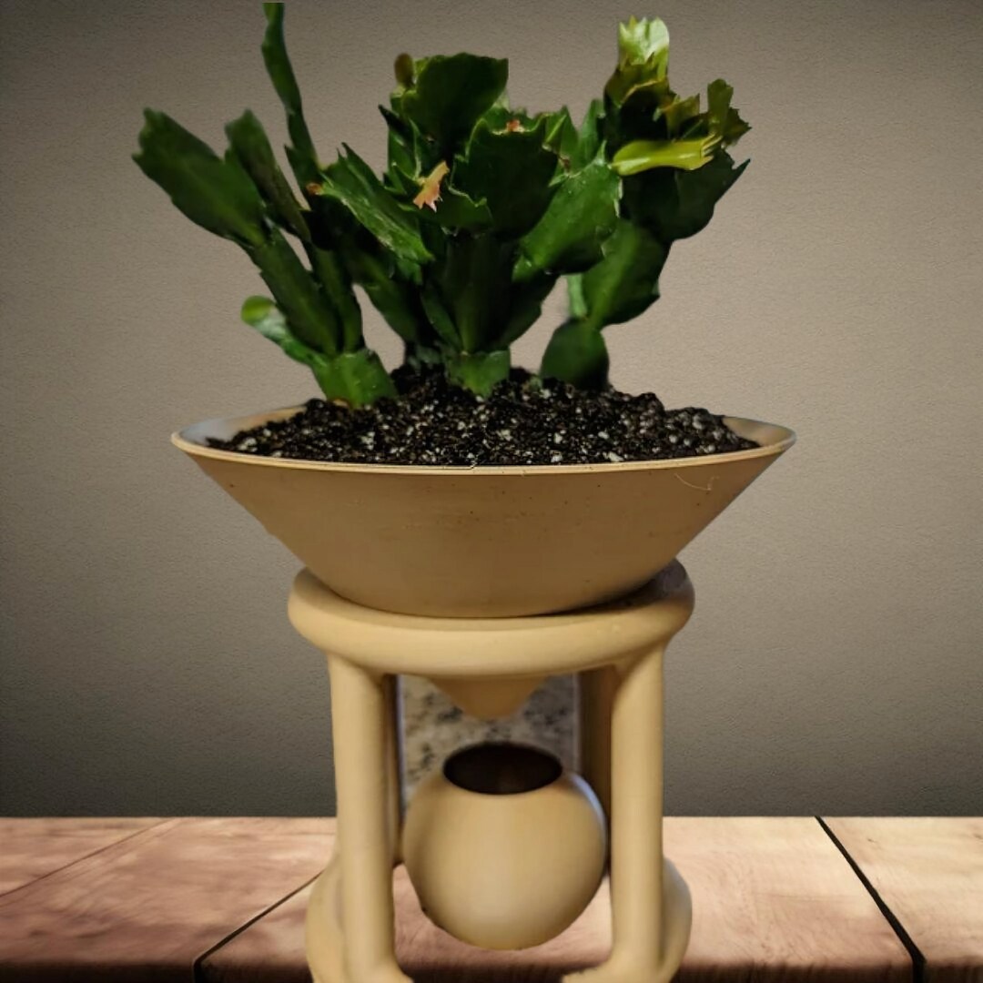 The Funnel Planter With Stand and Water Catch for Indoor House Plants ...