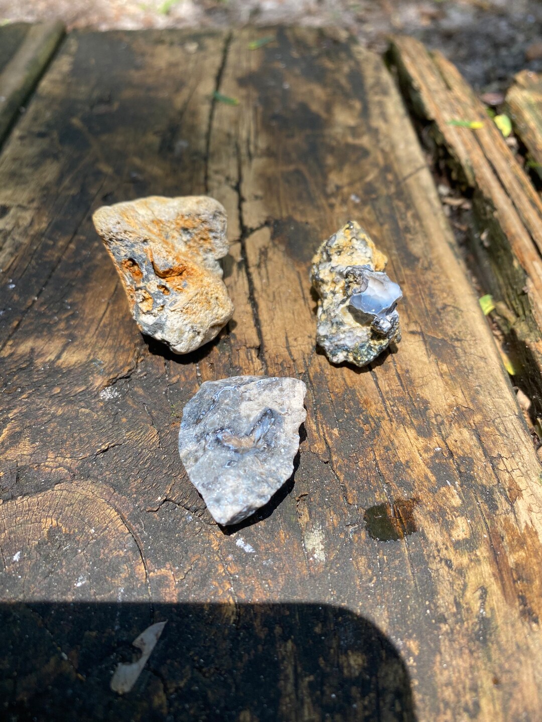 3 Piece Coral Agate Fossilized Coral Stones - Etsy