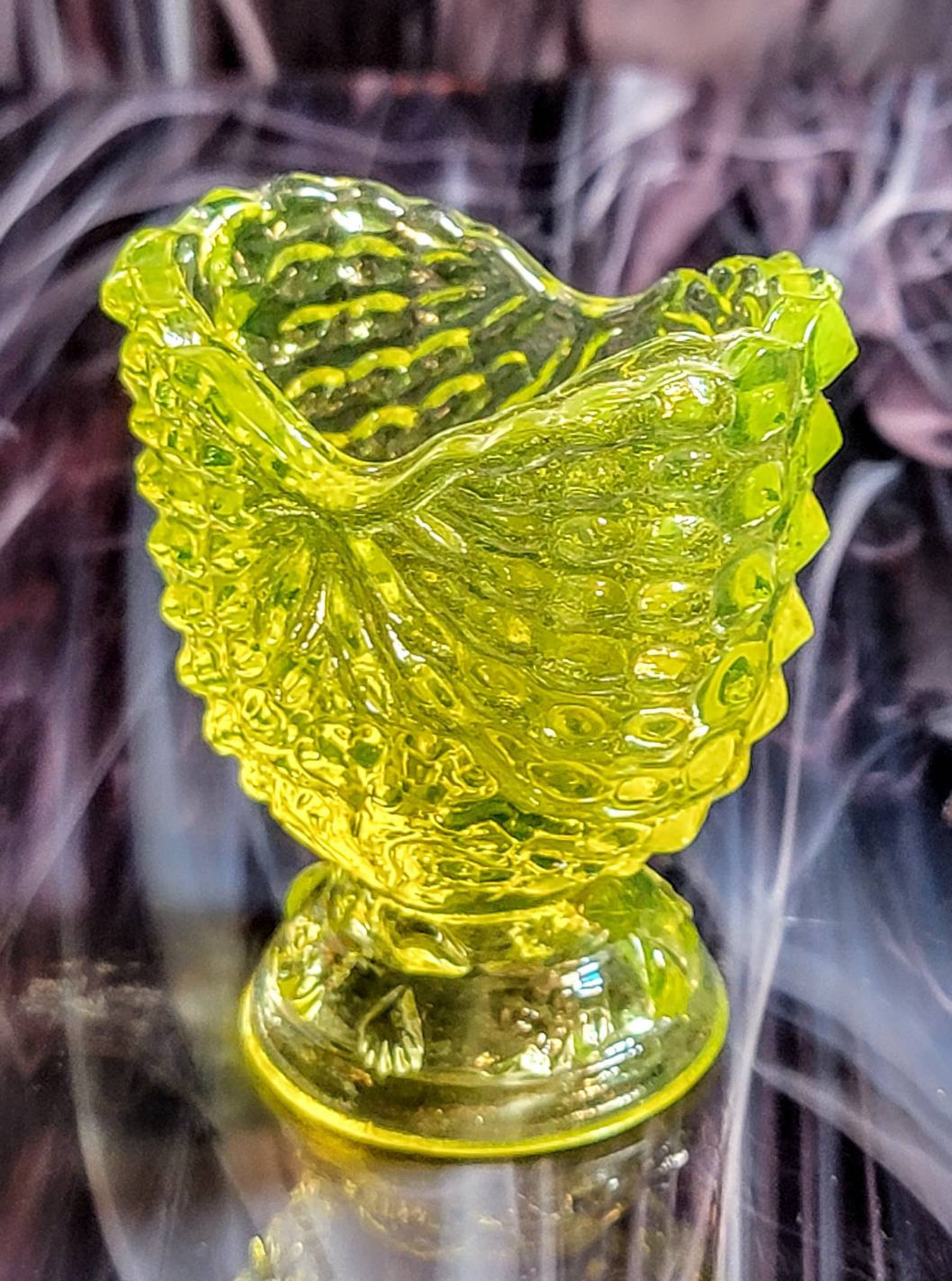 Vintage Summit Argonaut Shell Nautilus Yellow Vaseline Uranium - Etsy
