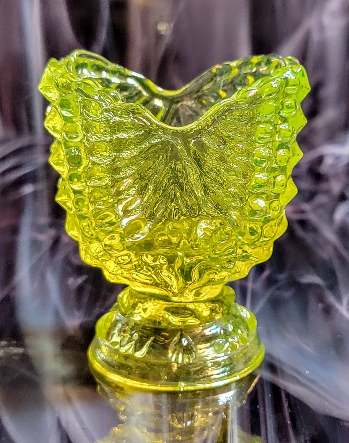Vintage Summit Argonaut Shell Nautilus Yellow Vaseline Uranium - Etsy