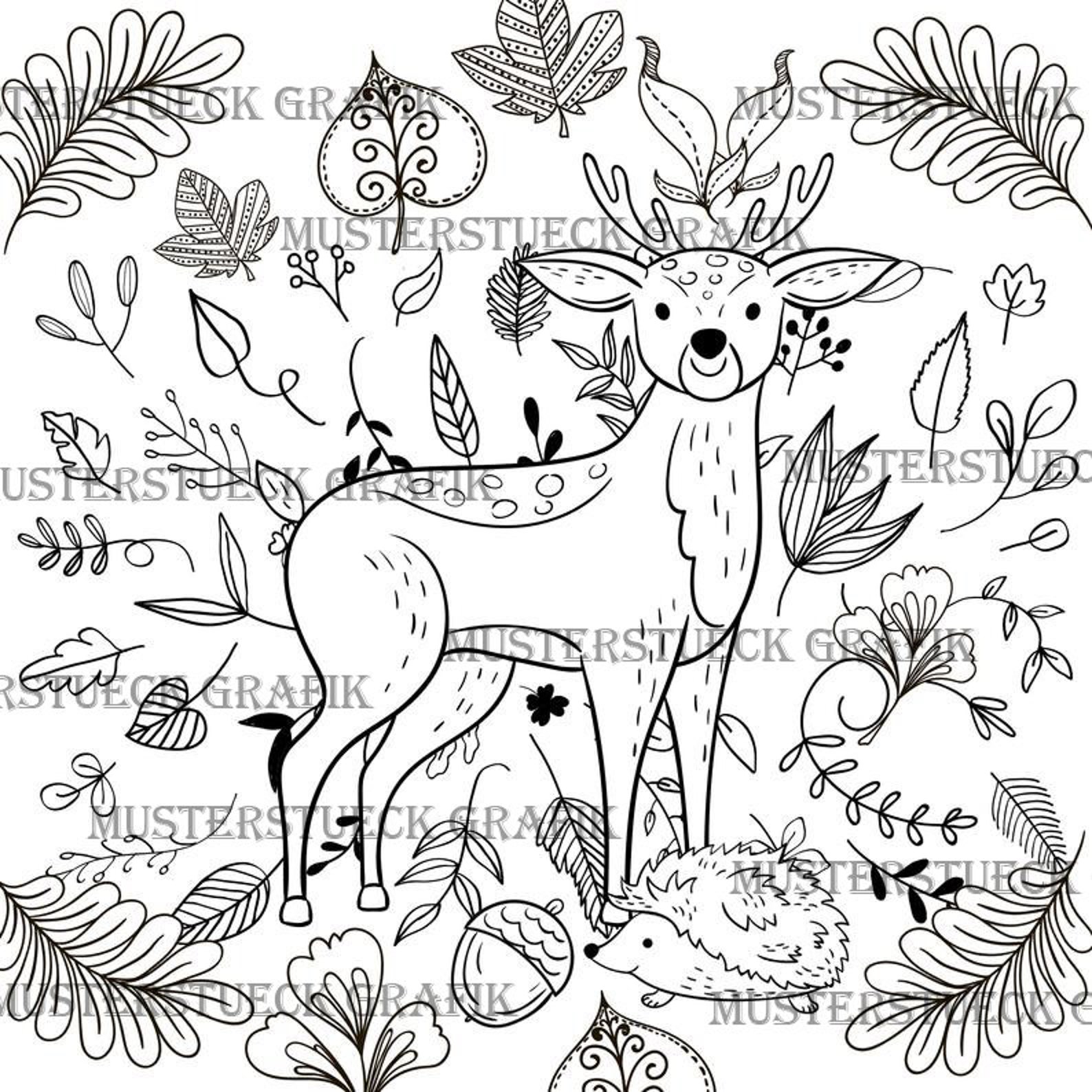 Autumn Forest Coloring Book for Adults Fall Coloring Book - Etsy Australia