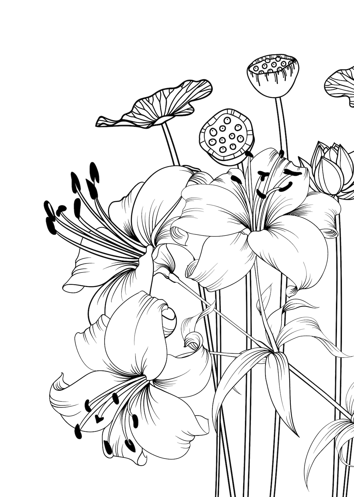 Flower Coloring Book for Adults: Adult Coloring Books Flowers - Etsy