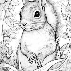 Autumn Squirrels Coloring Book Printable: Squirrels Coloring Pages ...