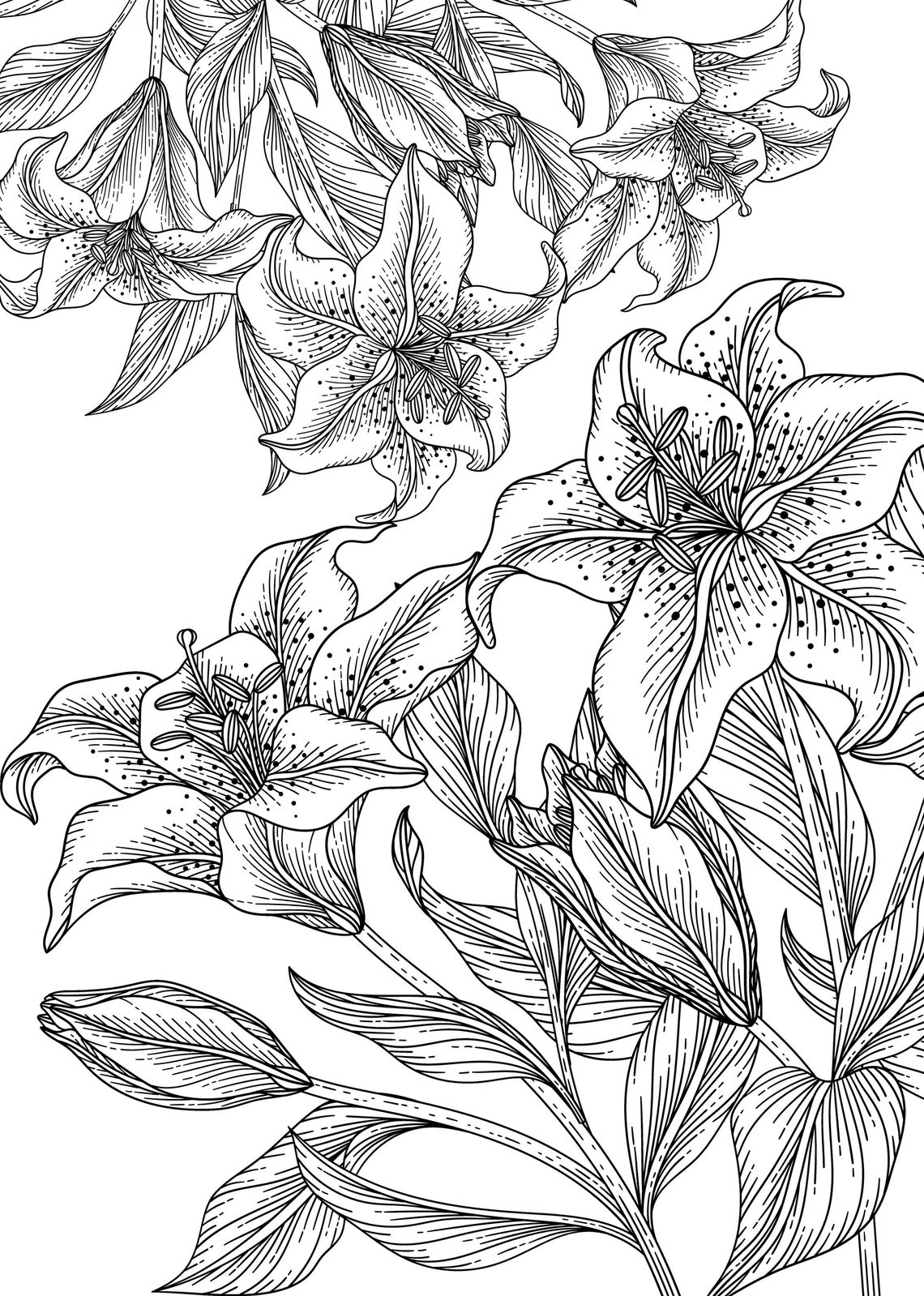 Flower Coloring Book for Adults: Adult Coloring Books Flowers - Etsy